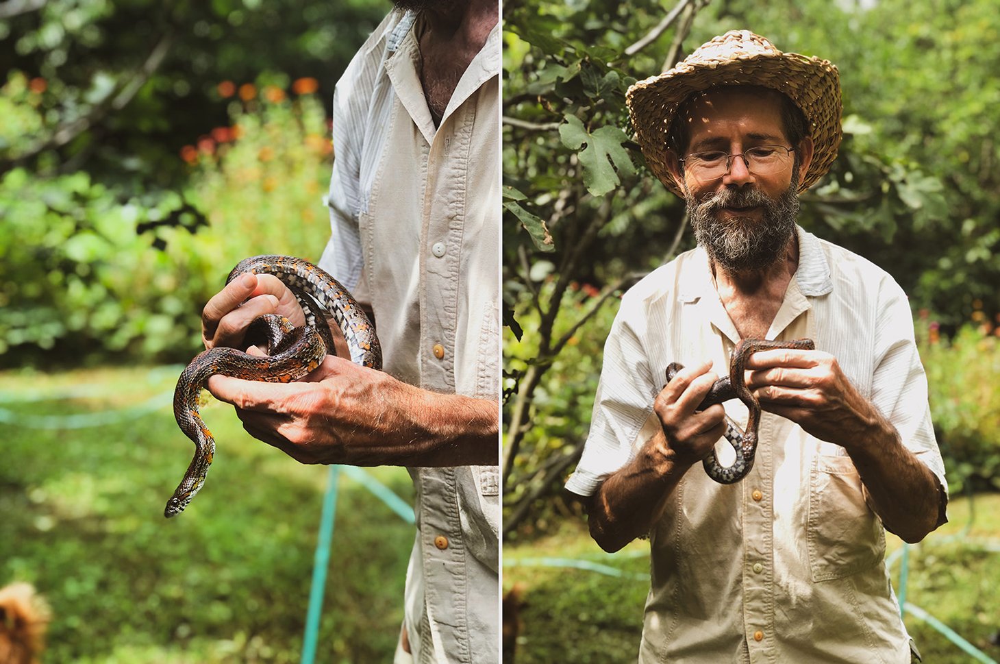 A Visit to Doug Elliot's Appalachian Homestead